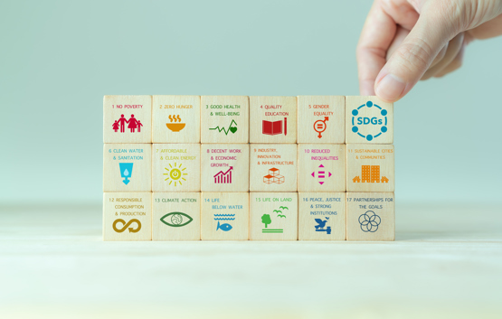 Sustainability development goals - THE HIVE PROJECT