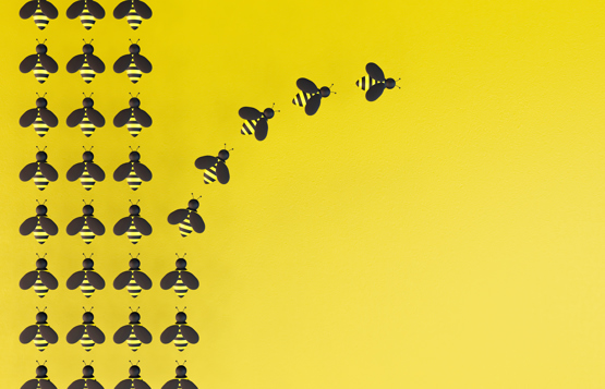 The Project - THE HIVE PROJECT